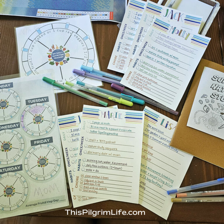 Summer Checklists & Our Summer Rhythm - This Pilgrim Life